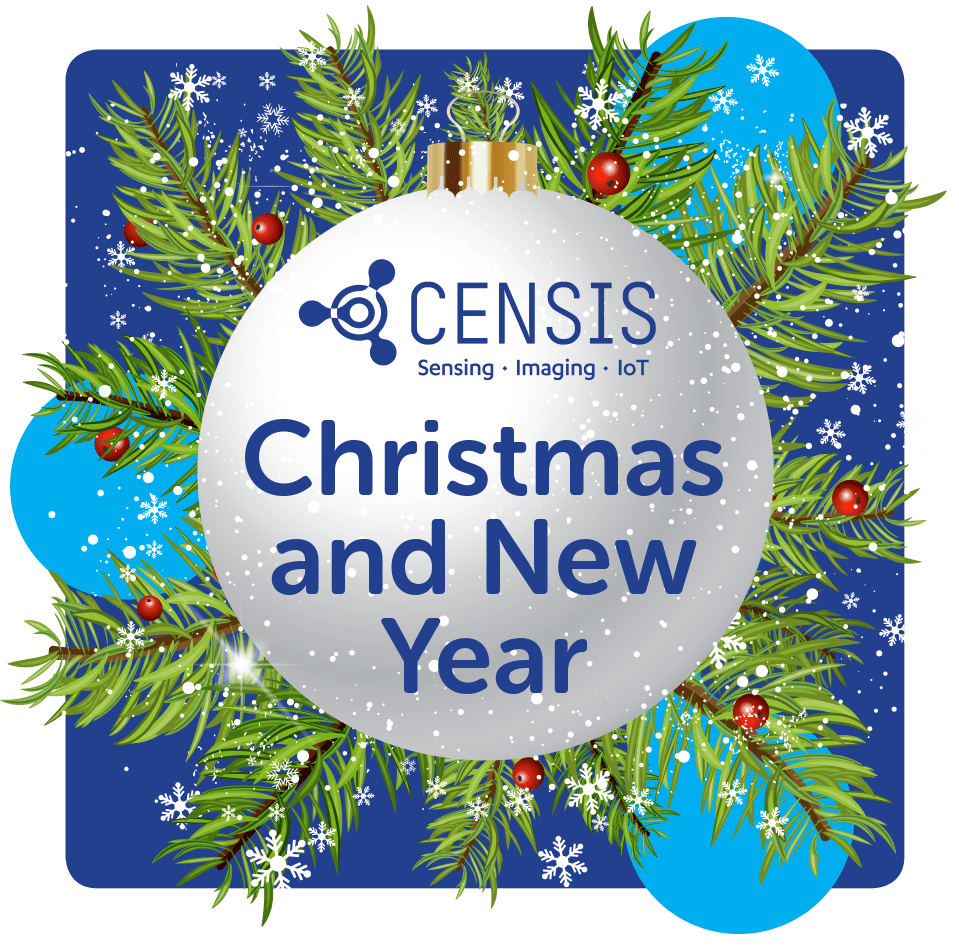 Christmas and New Year - CENSIS